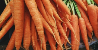 Myth or Truth: Can carrots help us see in the dark? | Lenstore.co.uk
