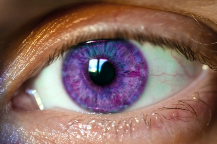 Purple eye colour | Lenstore.co.uk