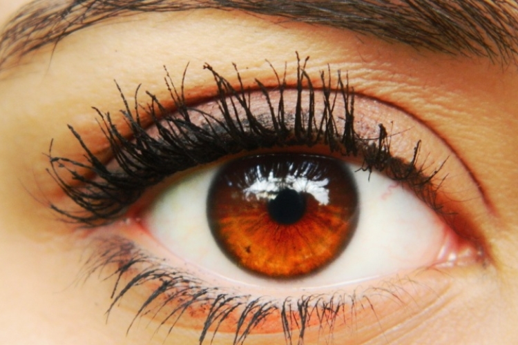 Amber eye colour | Lenstore.co.uk