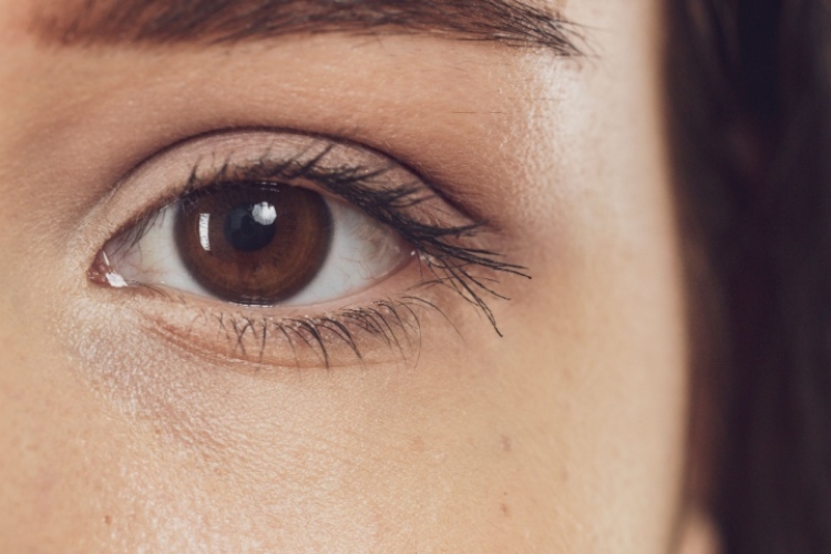 Brown eye colour | Lenstore.co.uk