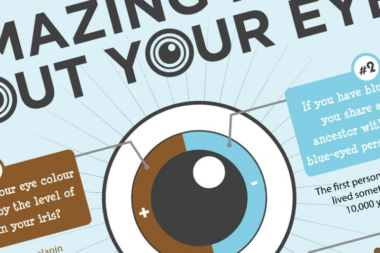 7 Amazing Eye Facts | Lenstore.co.uk